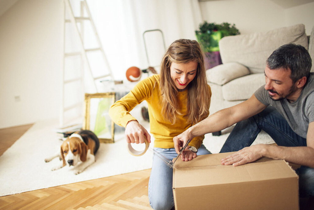 Tips for moving with pets | Expert Manandvan